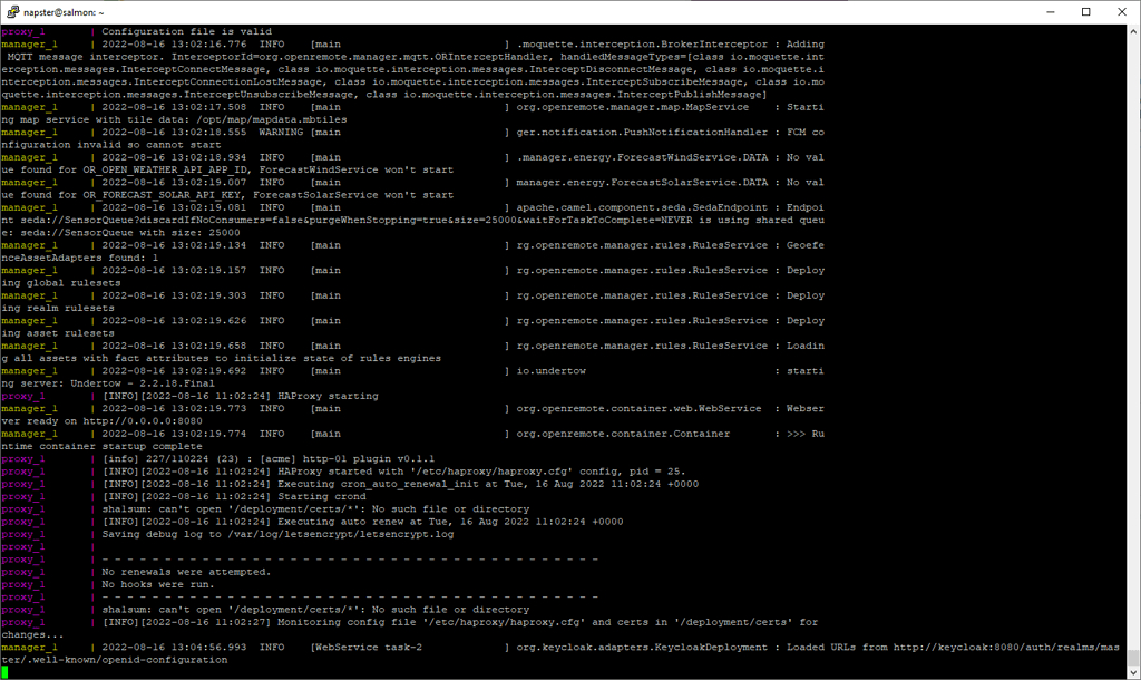 Can't set Login credentials - Custom Deployment - OpenRemote